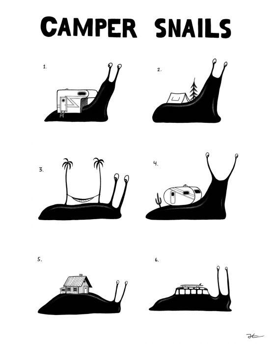 Camper Snails - Jonas Claesson Art – Jonas Claesson Shop