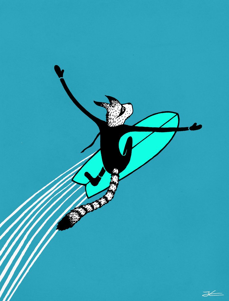 Rocky Raccoon - Jonas Claesson Art – Jonas Claesson Shop