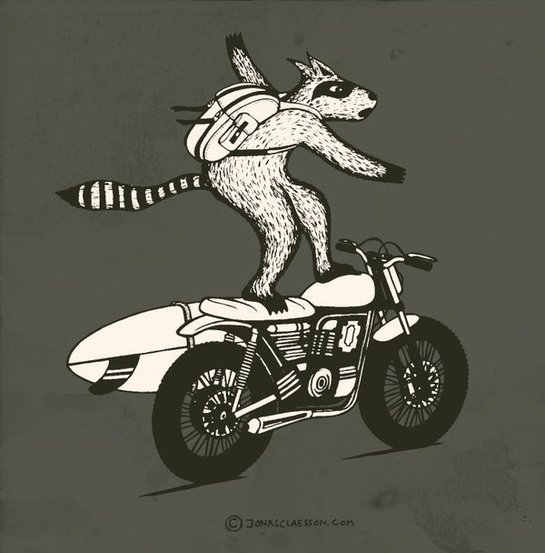 Radical Raccoon | Surf Tripping and more | Jonas Claesson Shop Journal blog